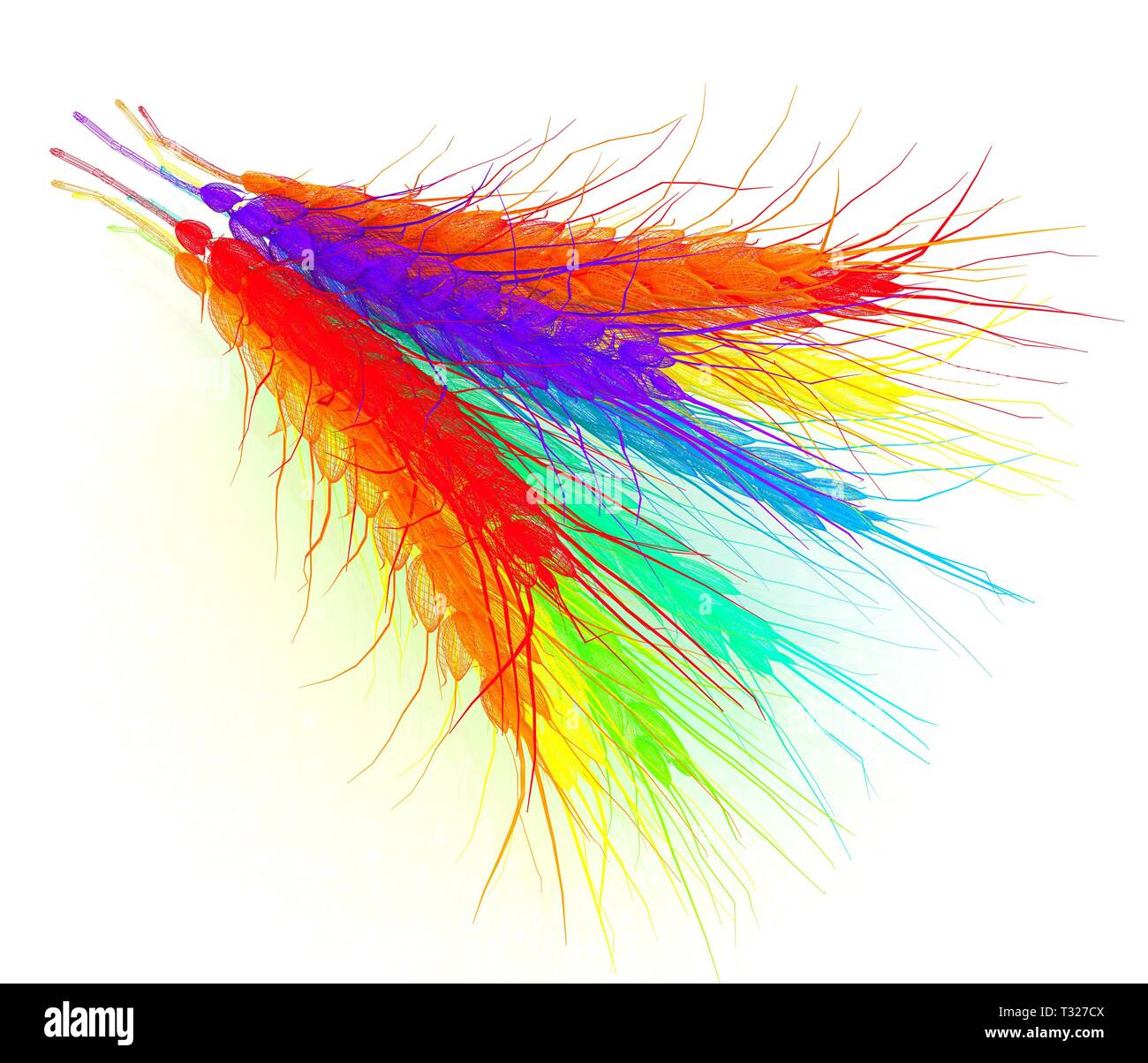 Colorful spikelets design. 3d render Stock Photo - Alamy