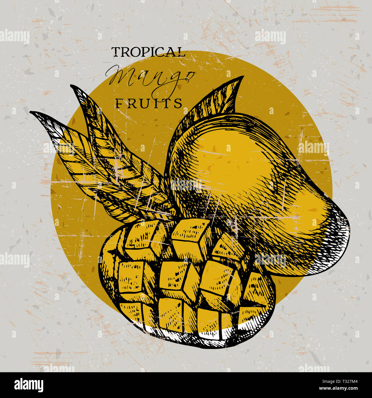 Mango tree vintage design template. Botanical mango fruit frame ...