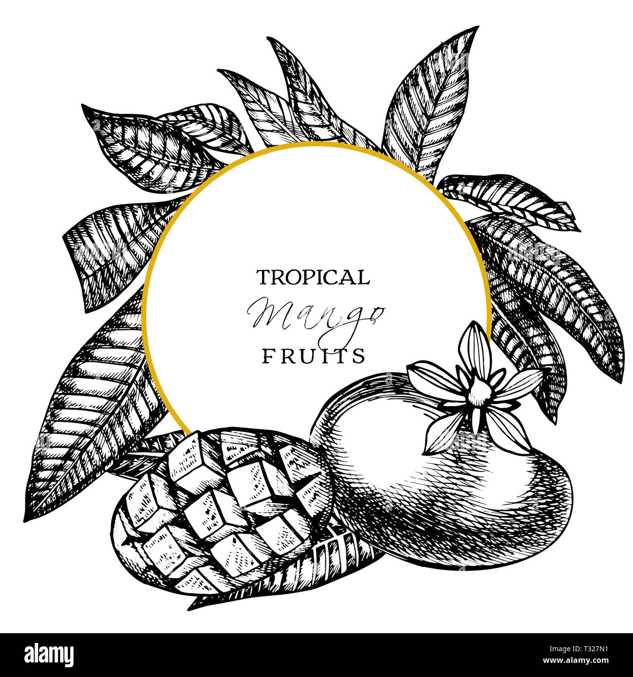 Mango tree vintage design template. Botanical mango fruit frame ...