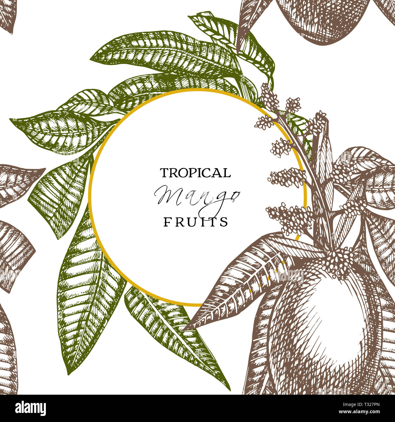 Mango tree vintage design template. Botanical mango fruit frame ...