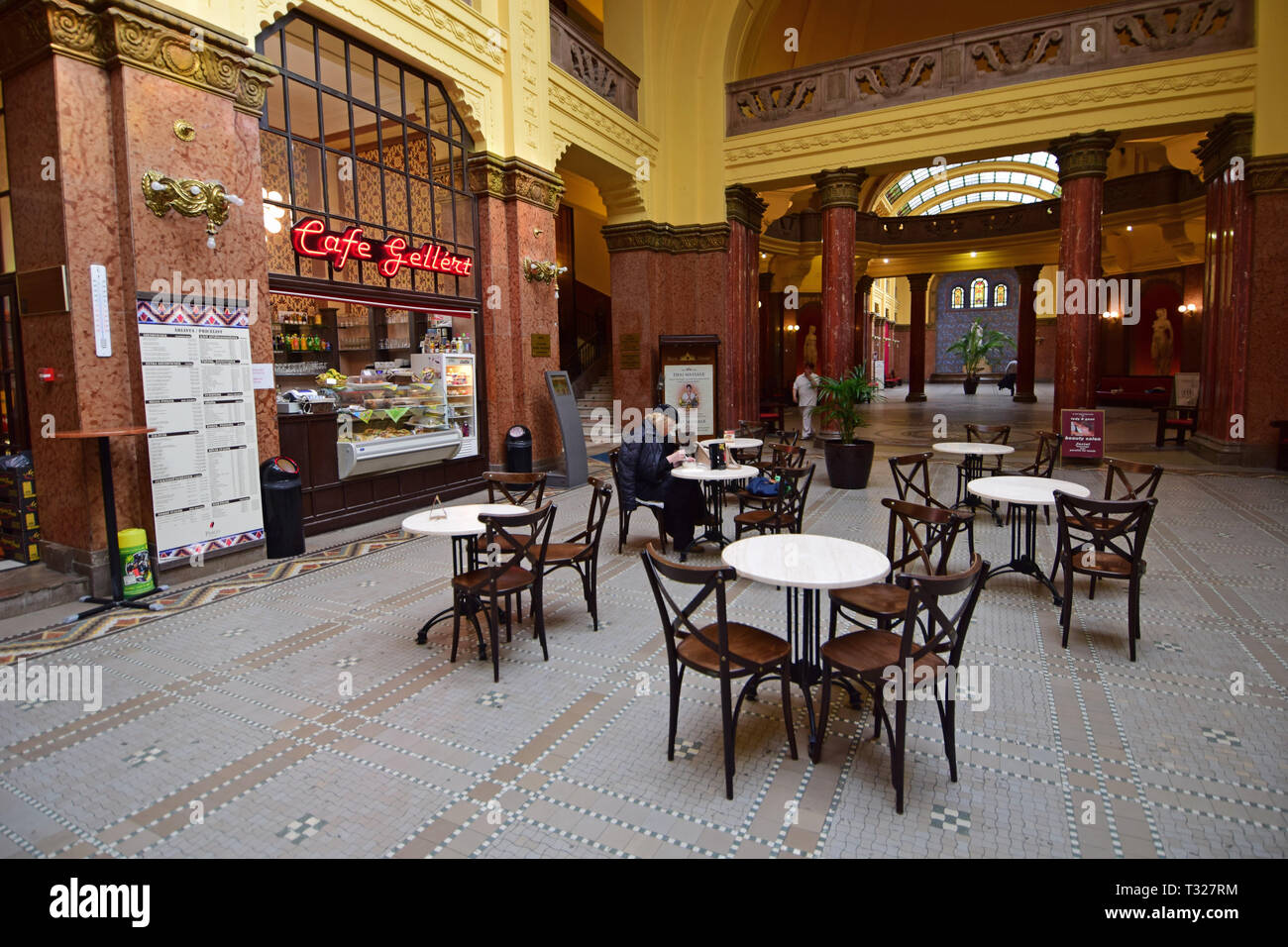 Gellert Thermal Baths and Swimming Pool (also known as the Gellért ...