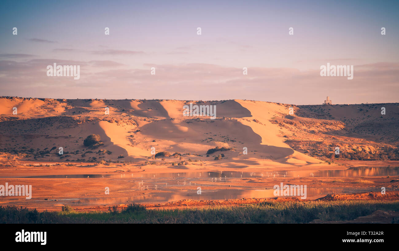 Laayoune desert hi-res stock photography and images - Alamy