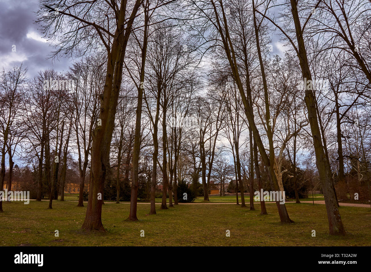 Beautiful scenery from the park of the Grand Sanssouci summer palace ...