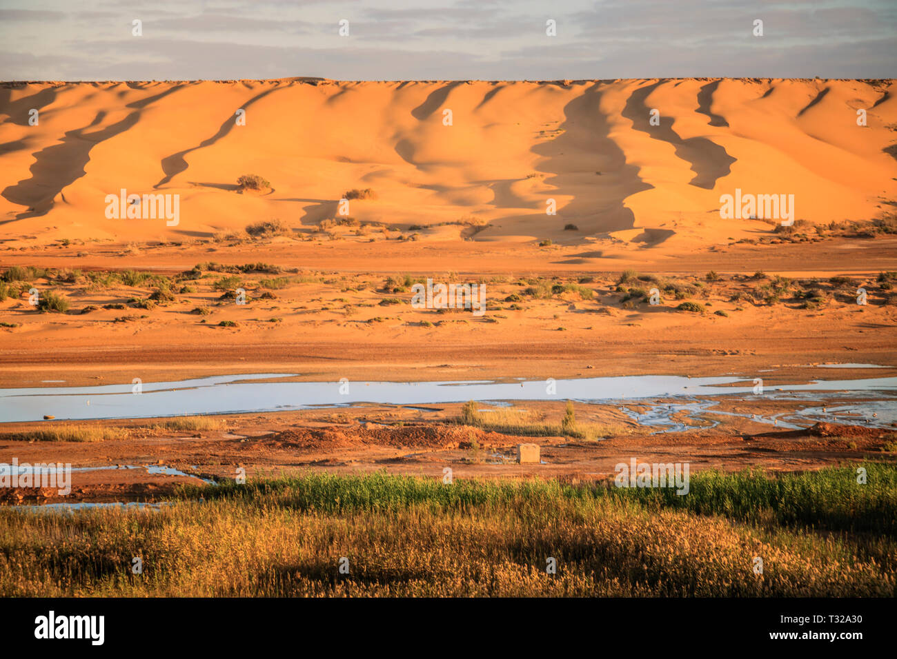 El hamra hi-res stock photography and images - Alamy