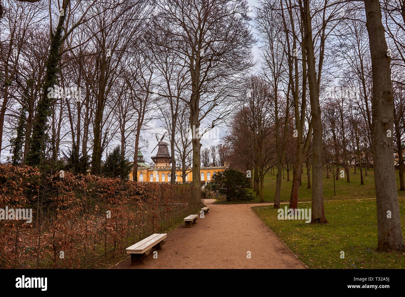 Beautiful scenery from the park of the Grand Sanssouci summer palace ...