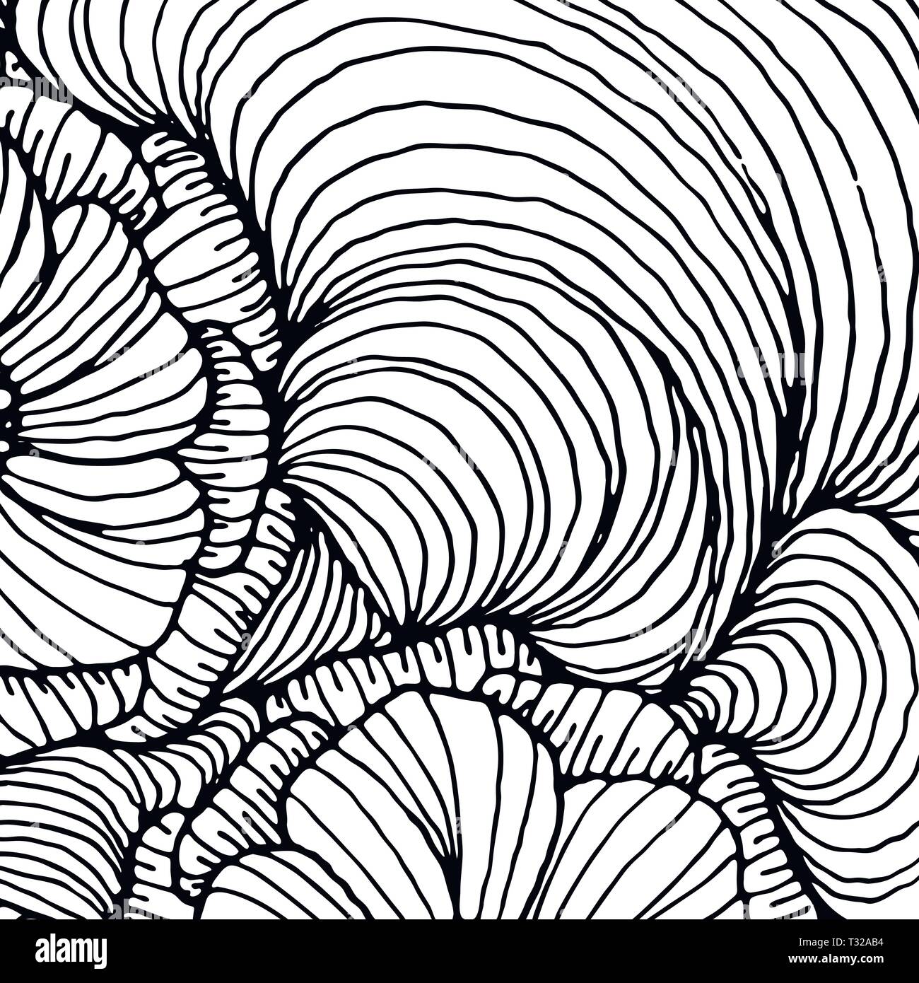 Vector doodle outline abstract ornamental flowers stripe background ...