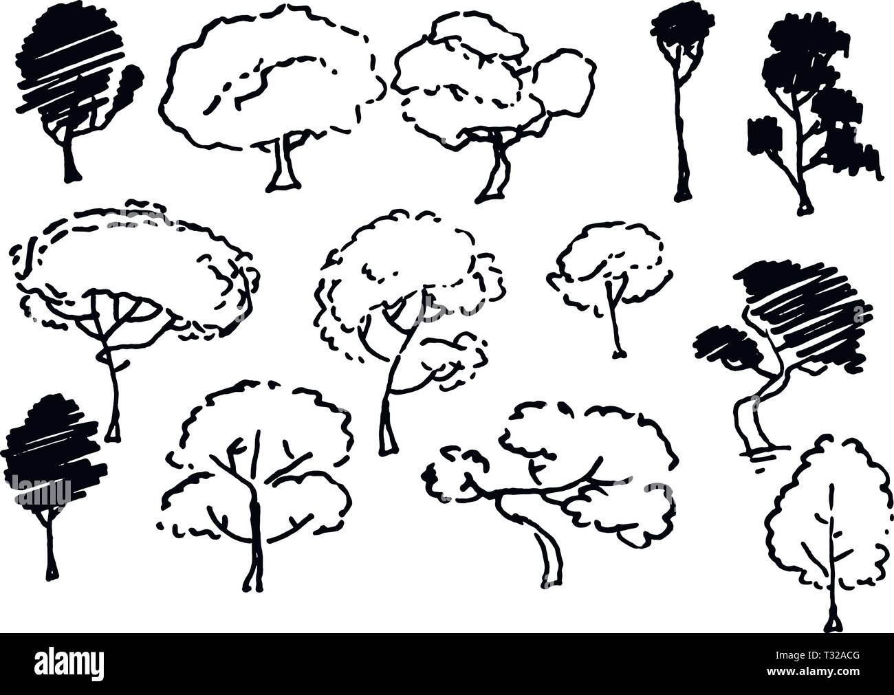 Trees sketch set, cartoon vintage illustration, ink draw engraved style ...