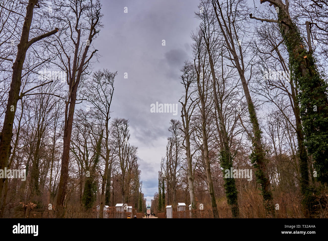 Beautiful scenery from the park of the Grand Sanssouci summer palace ...