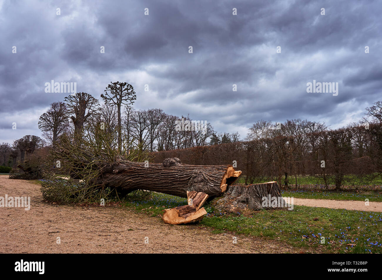 Beautiful scenery from the park of the Grand Sanssouci summer palace ...