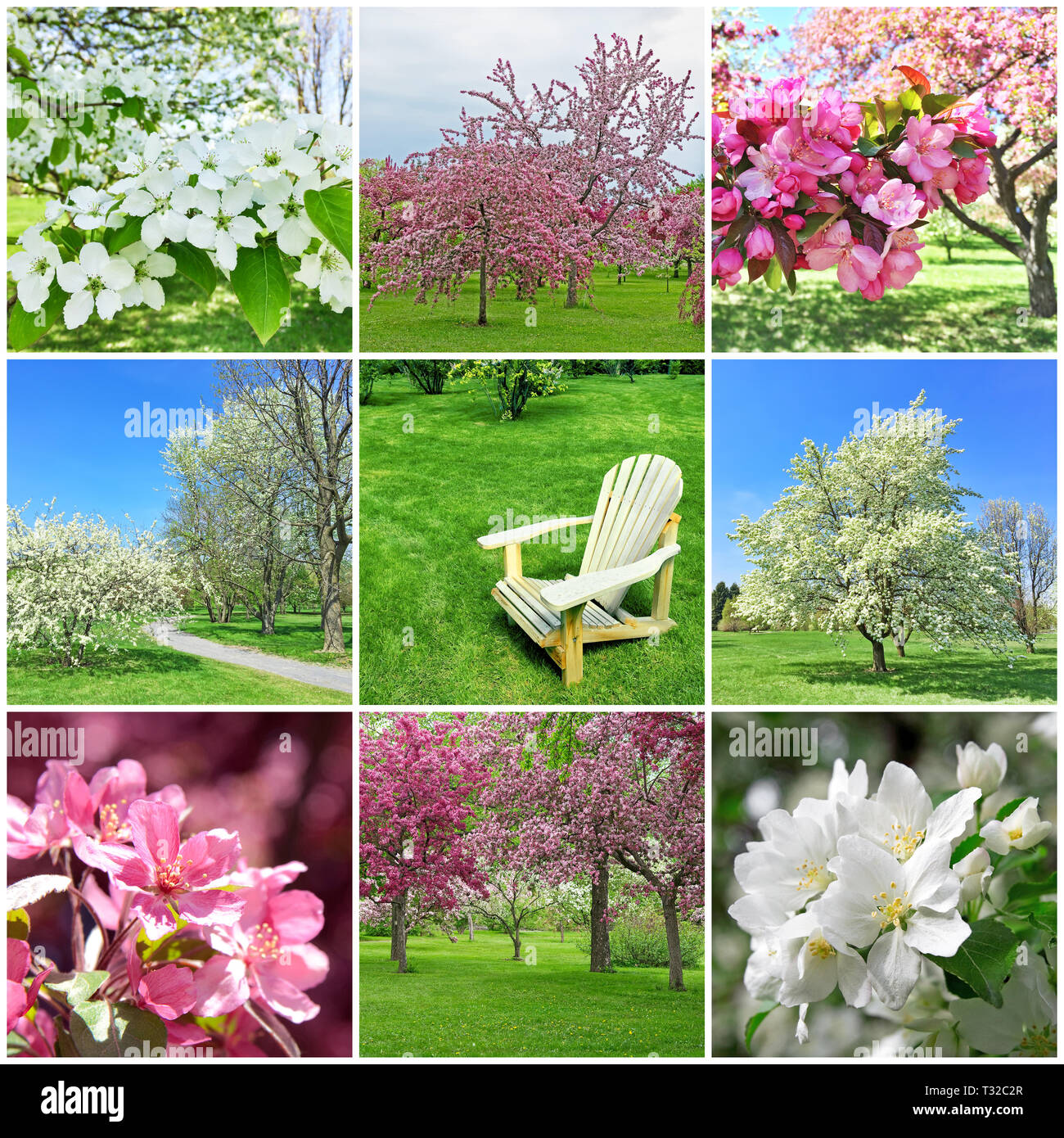 Blooming spring trees. Collage of nine photos Stock Photo - Alamy