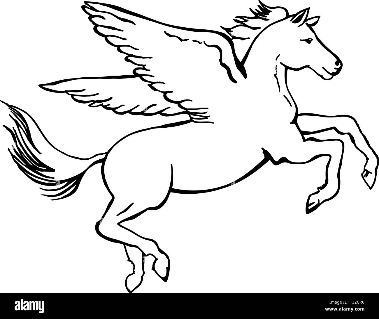 Pegasus Vector Illustration Stock Vector Image & Art - Alamy