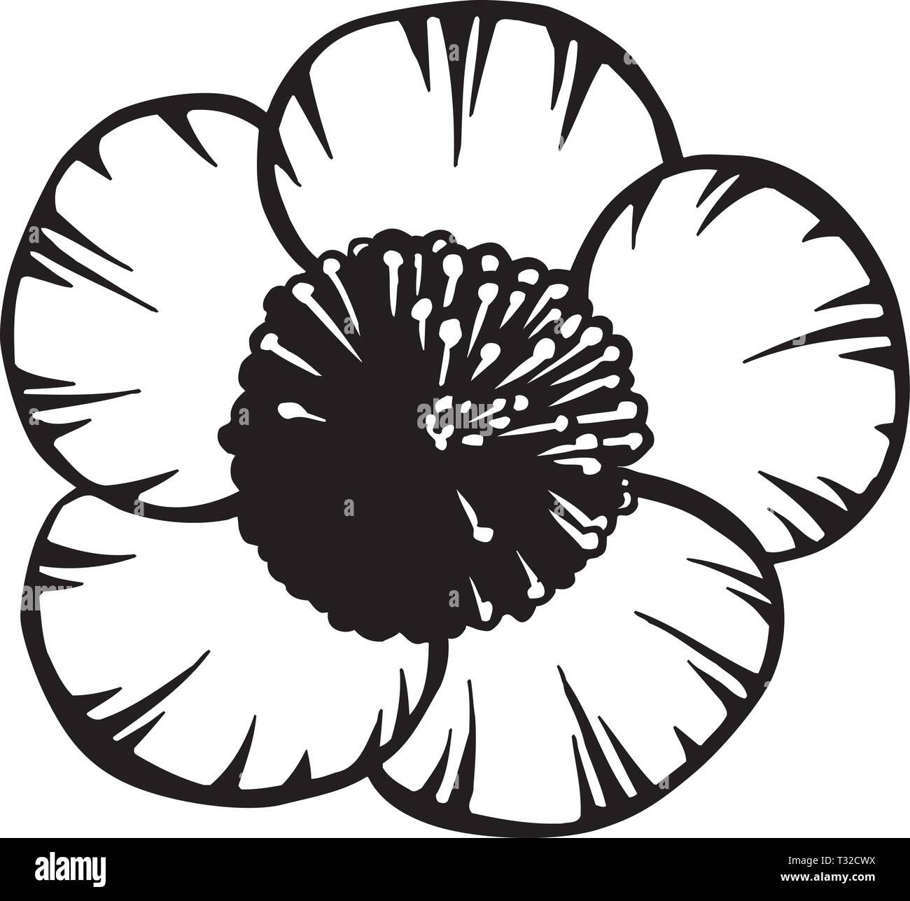 Buttercup flower vector vectors hi-res stock photography and images - Alamy