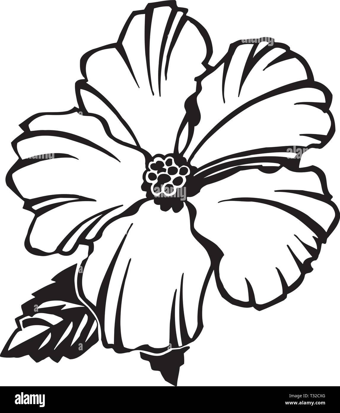 Vector hibiscus flower Stock Vector Images - Alamy