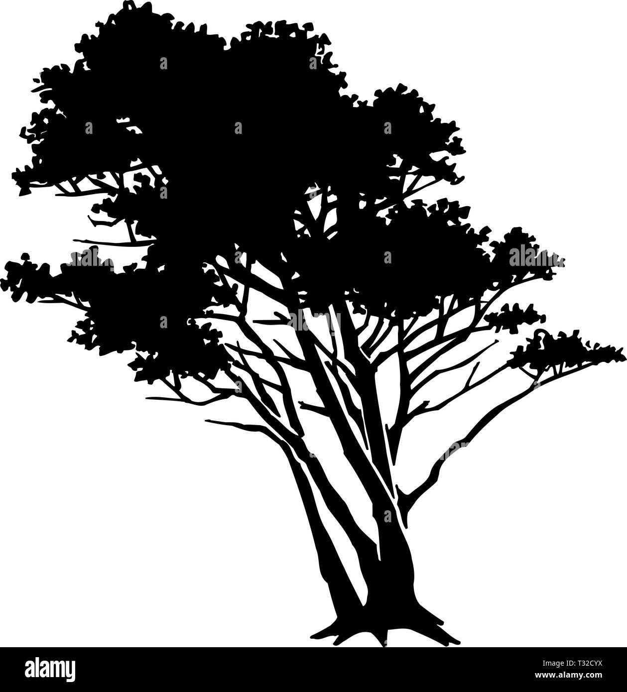Tree illustration hi-res stock photography and images - Alamy