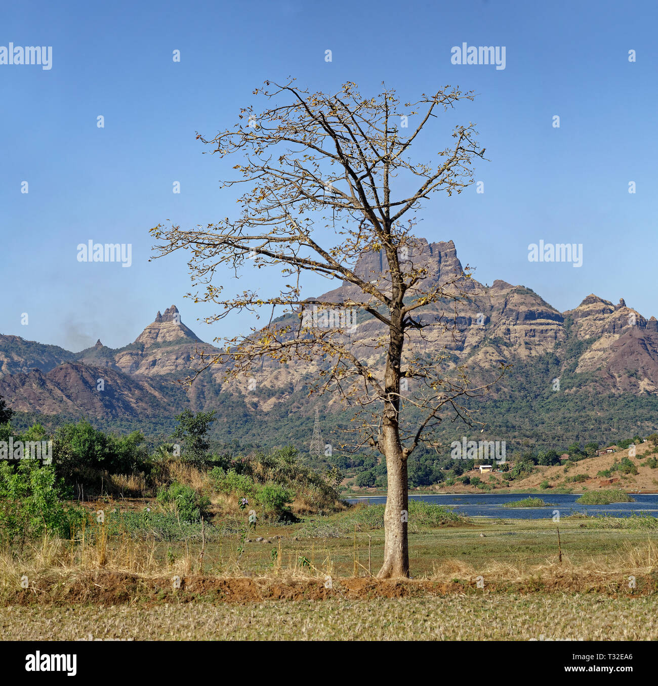 Panvel farm hi-res stock photography and images - Alamy