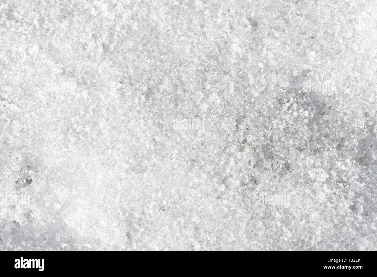 Wet early spring snow background and texture close up Stock Photo - Alamy