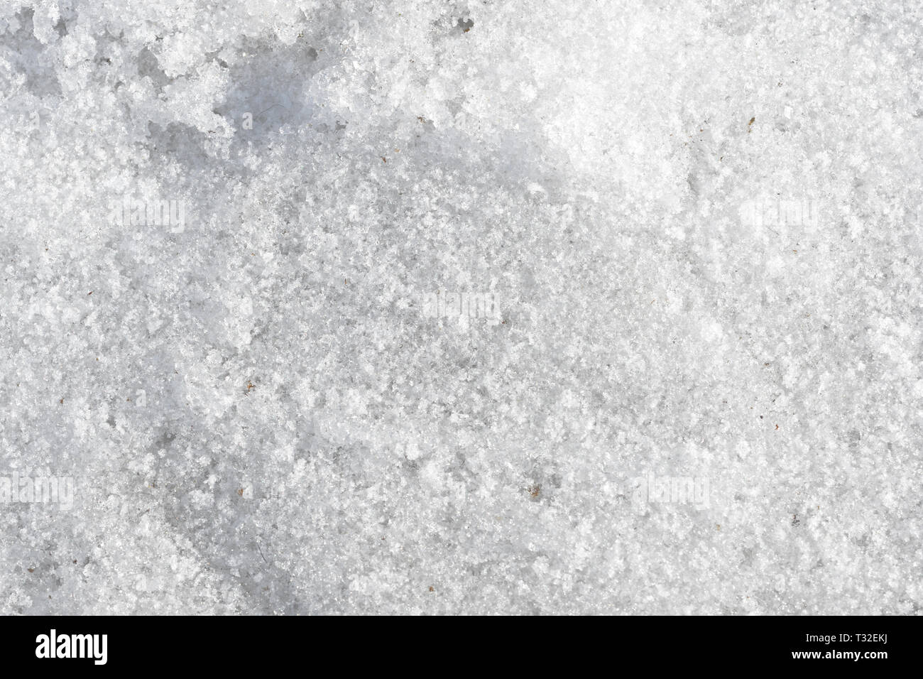 Wet early spring snow background and texture close up Stock Photo - Alamy