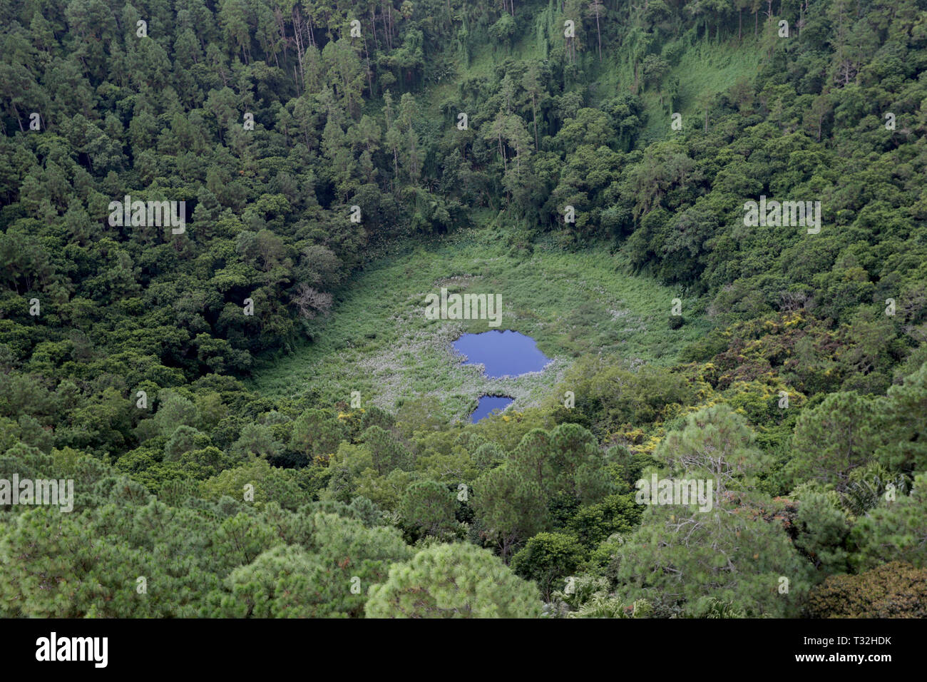 Mauritius moka range hi-res stock photography and images - Alamy