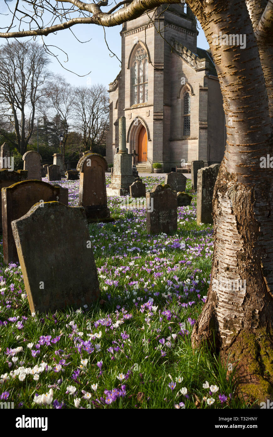 Purple headstones hi-res stock photography and images - Alamy