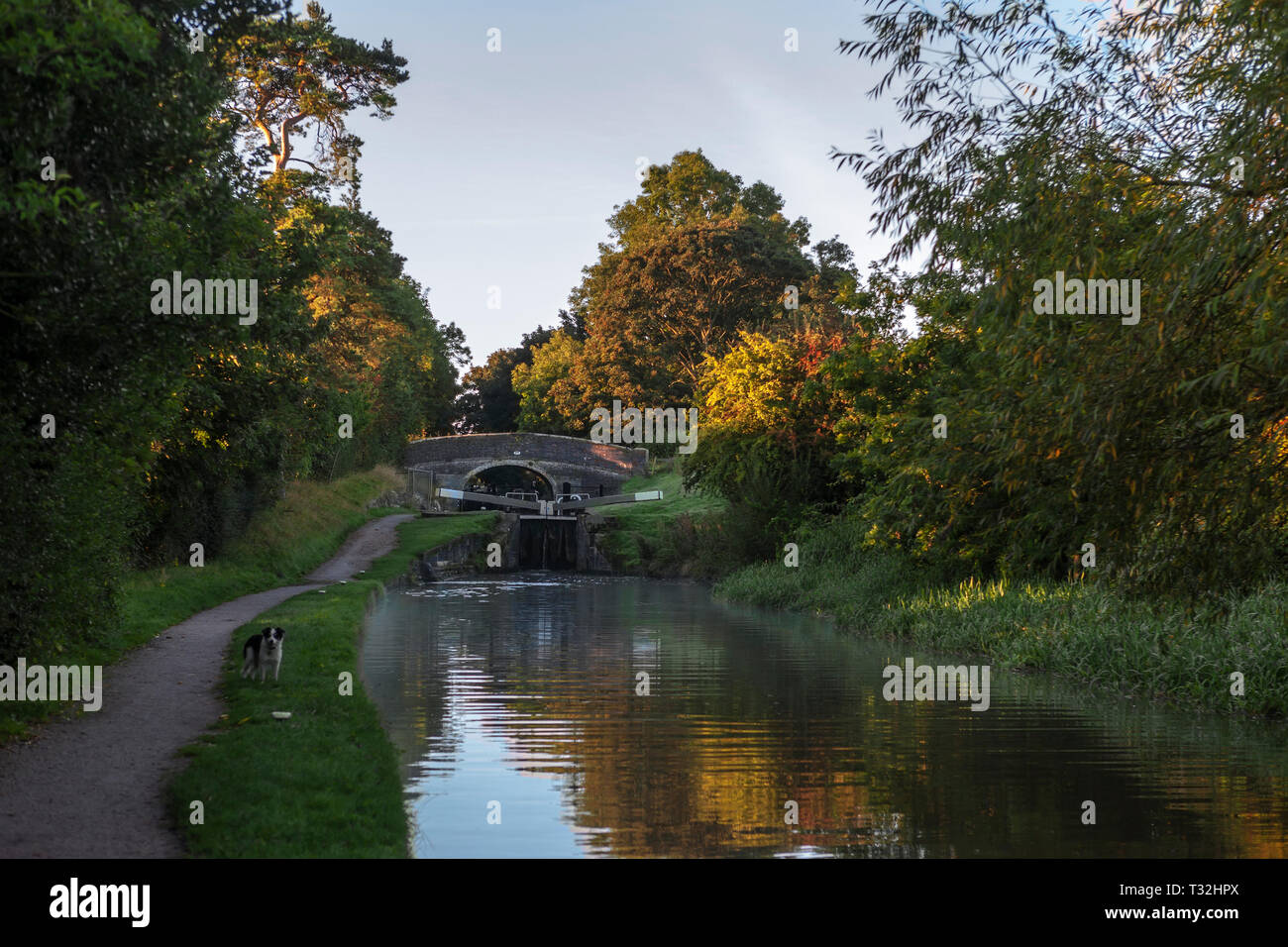 Looking up the famous Audlem Lock Flight on the Shropshire Union Canal ...