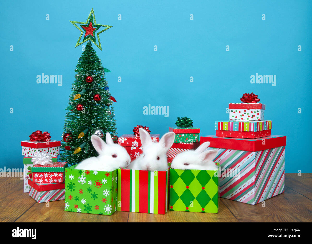 Cute baby animals christmas tree hi-res stock photography and images ...