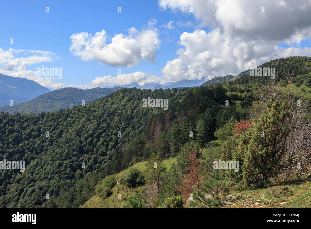 Closeup view mountains and valley scenes in national park Dombai ...