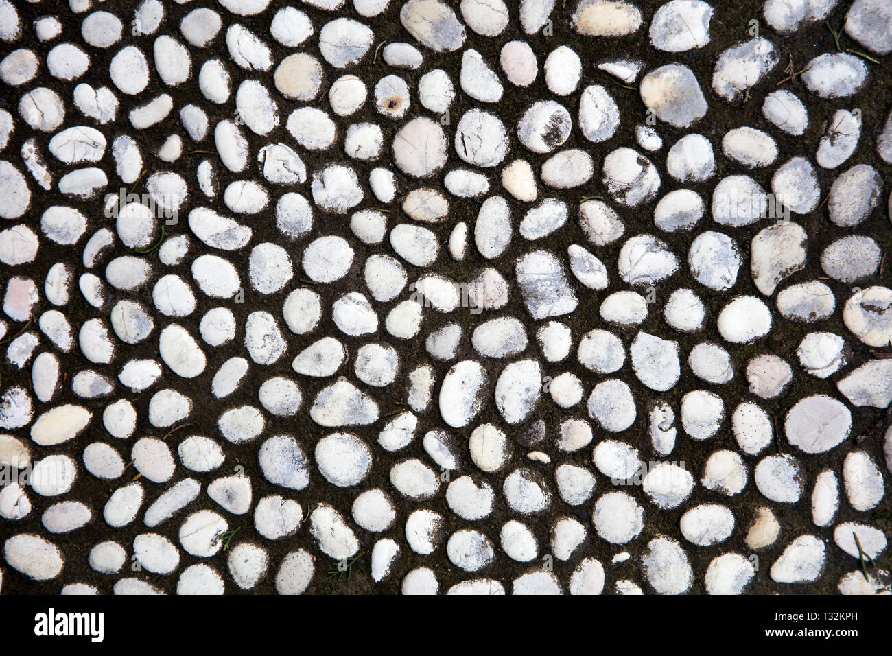 Backdrop of small round stones in the concrete wall Stock Photo - Alamy