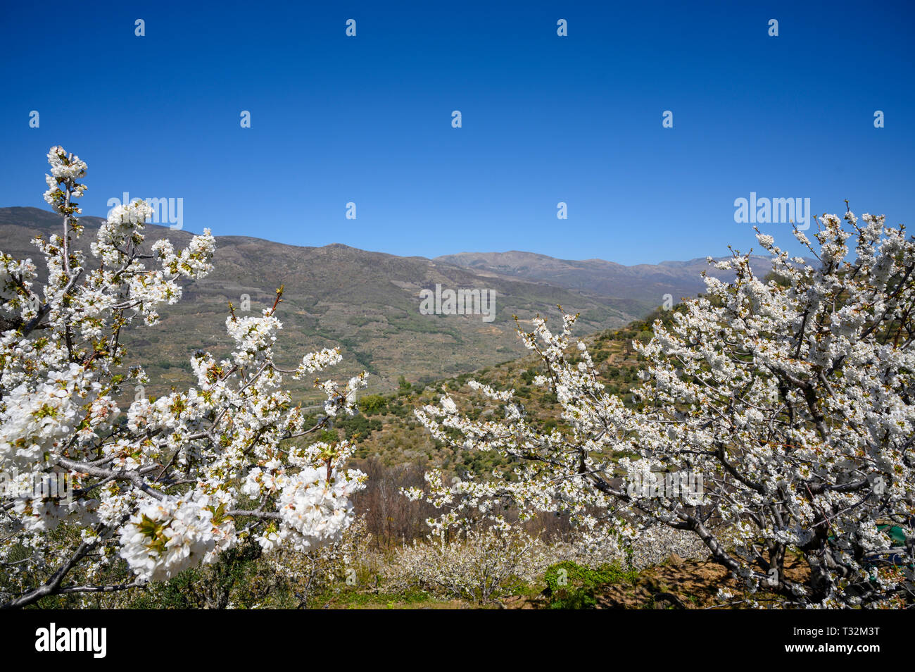 Jerte valley hi-res stock photography and images - Alamy