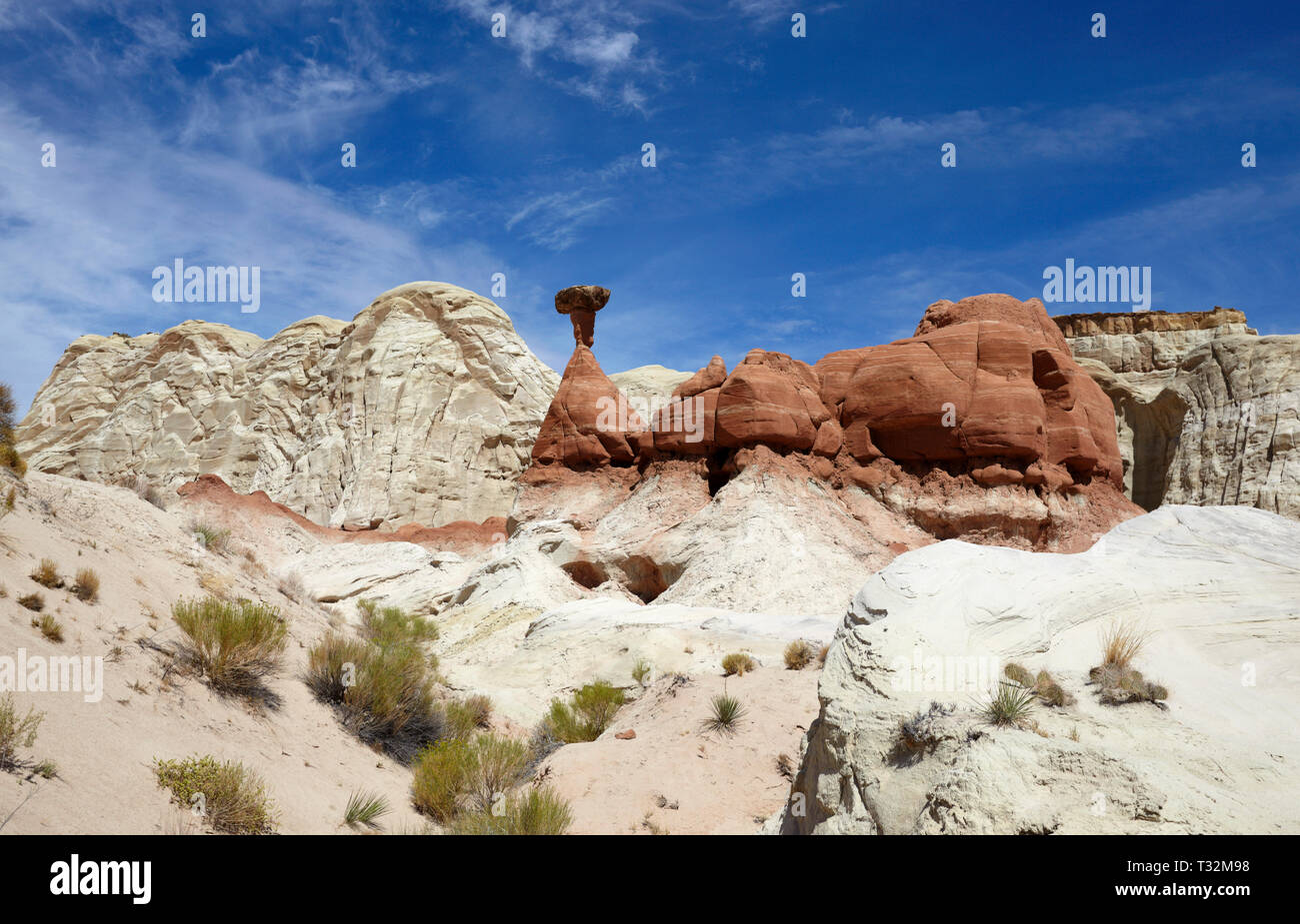 Toadstool Rocks, Grand Staircase Escalante National Park, Utah, America ...