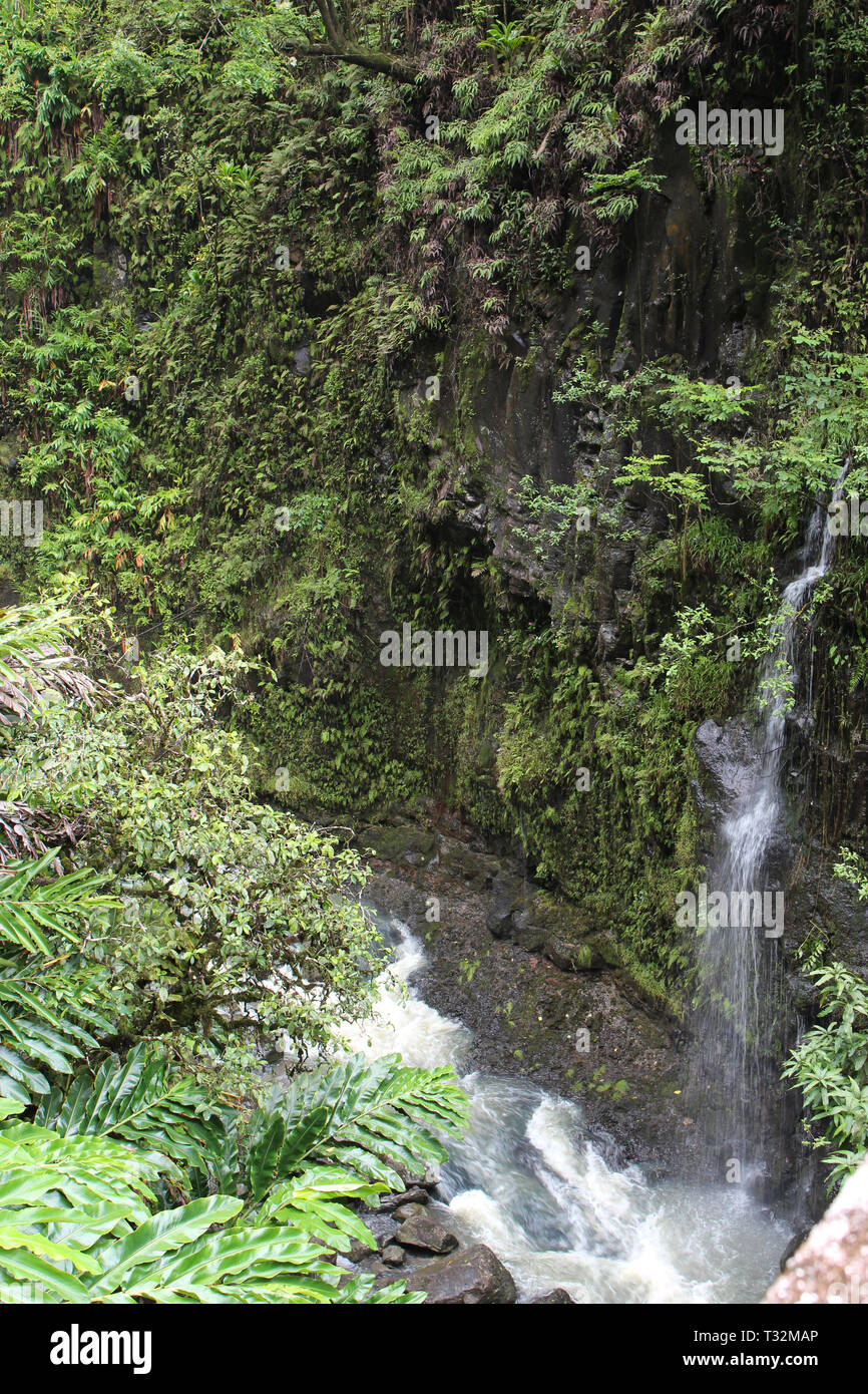 Small trickling waterfall hi-res stock photography and images - Alamy