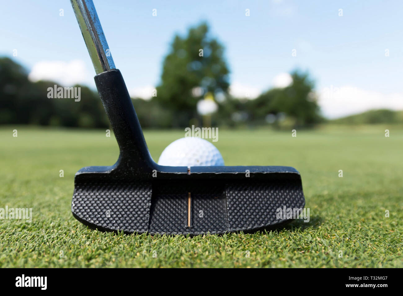 A black putter lines up a putt with a white ball on the green at a golf ...