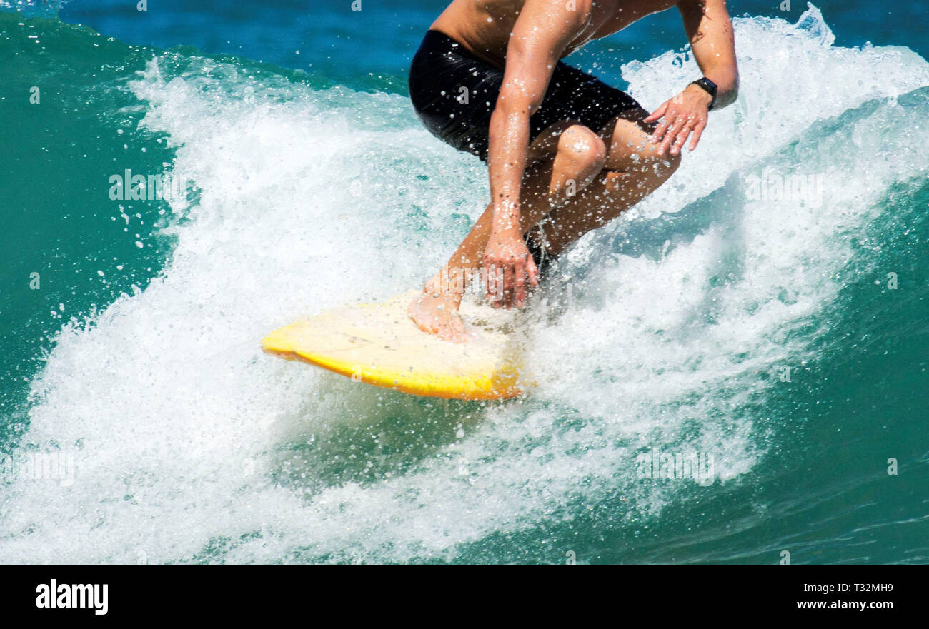 Riding the wave of life hi-res stock photography and images - Alamy