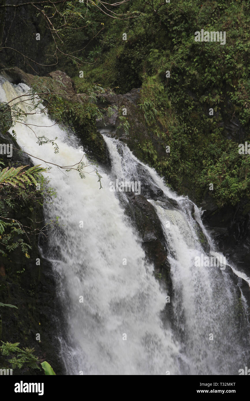 Hana waterfalls hi-res stock photography and images - Alamy