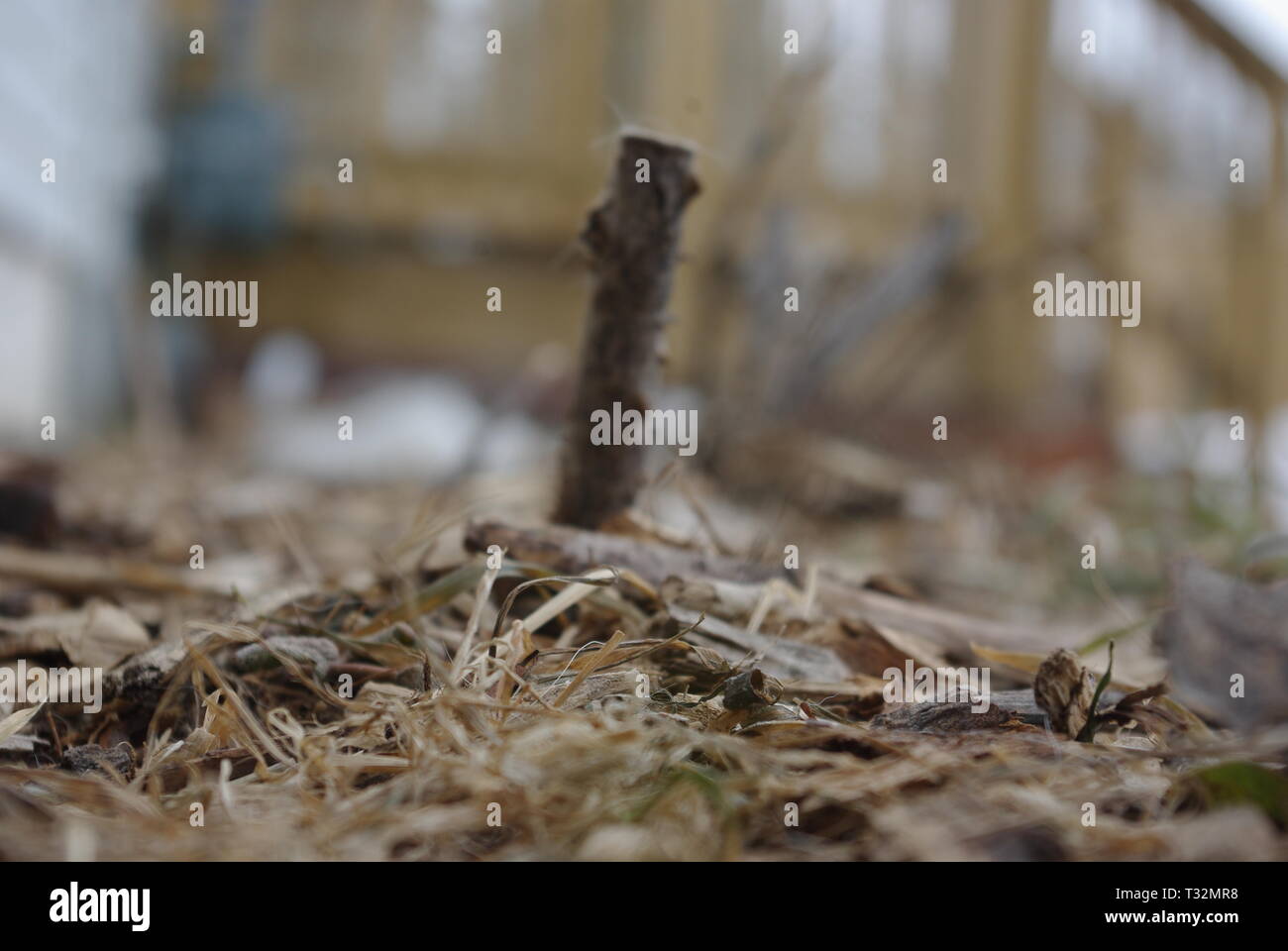 Simple Spring time photos Stock Photo - Alamy