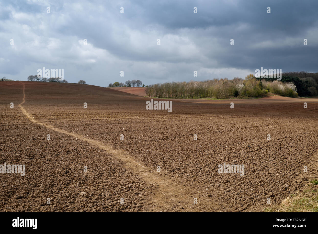 Misk hills hucknall nottinghamshire uk hi-res stock photography and ...