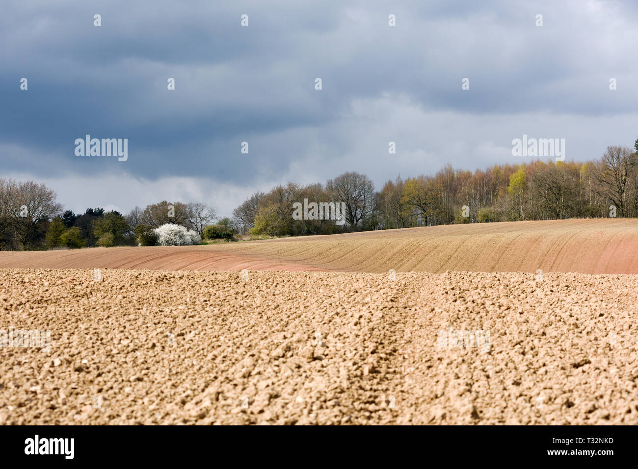 Nottinghamshire Rural Landscape,UK Stock Photo - Alamy