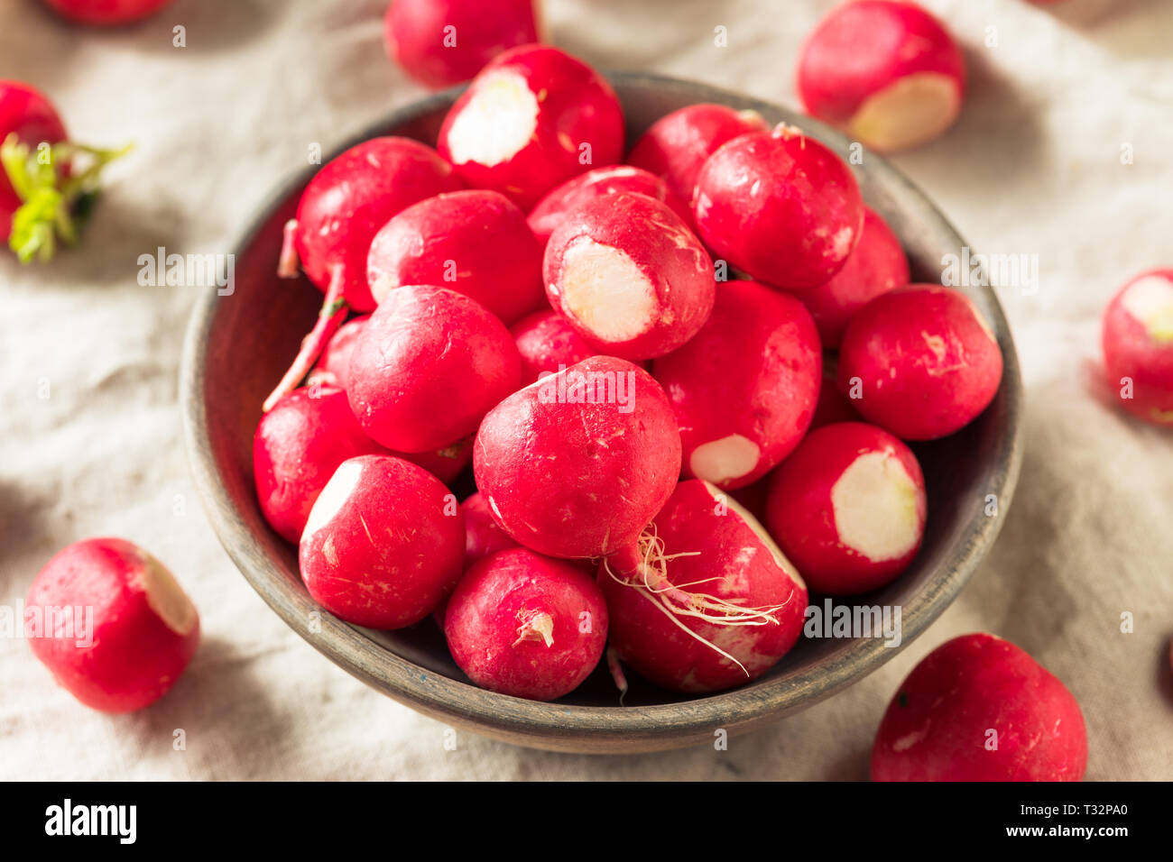 Radish small organic harvest gardening hi-res stock photography and ...