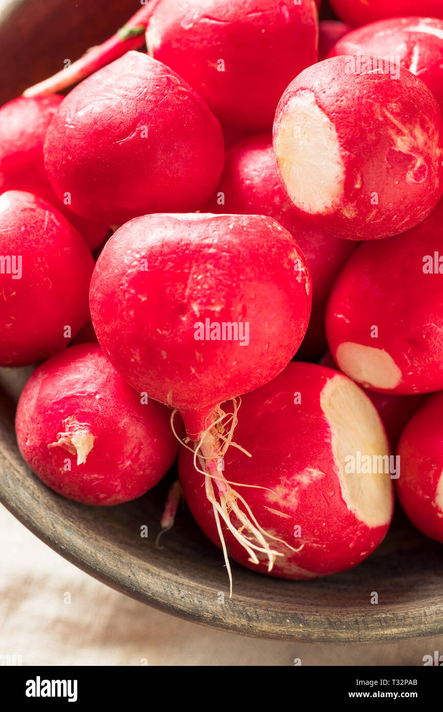 Radish small organic harvest gardening hi-res stock photography and ...