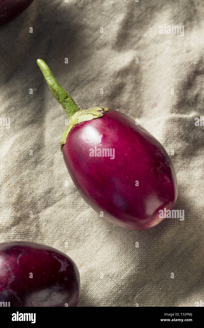 Raw Organic Purple Indian Eggplants Ready to Cook Stock Photo - Alamy