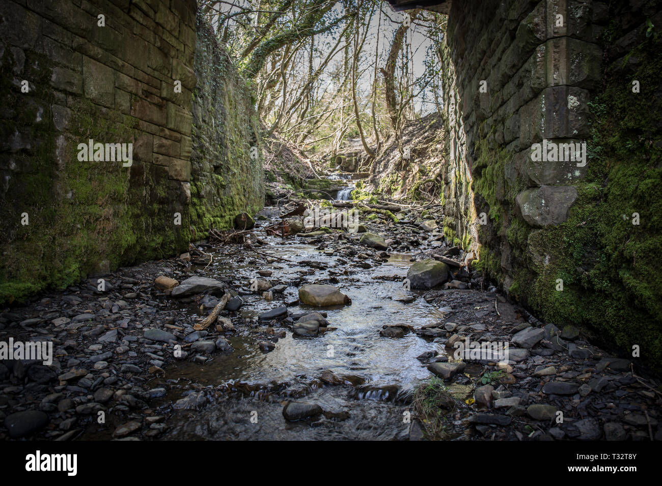 Shallow stream in Wales UK Stock Photo - Alamy