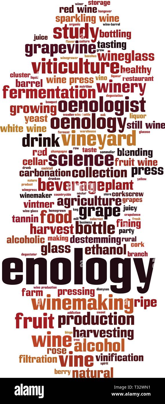 Enology word cloud concept. Collage made of words about enology. Vector ...