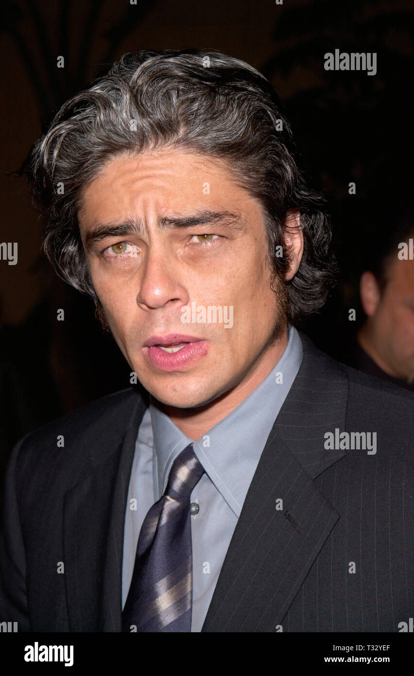 LOS ANGELES, CA. January 09, 2001: Actor BENICIO DEL TORO at the world ...