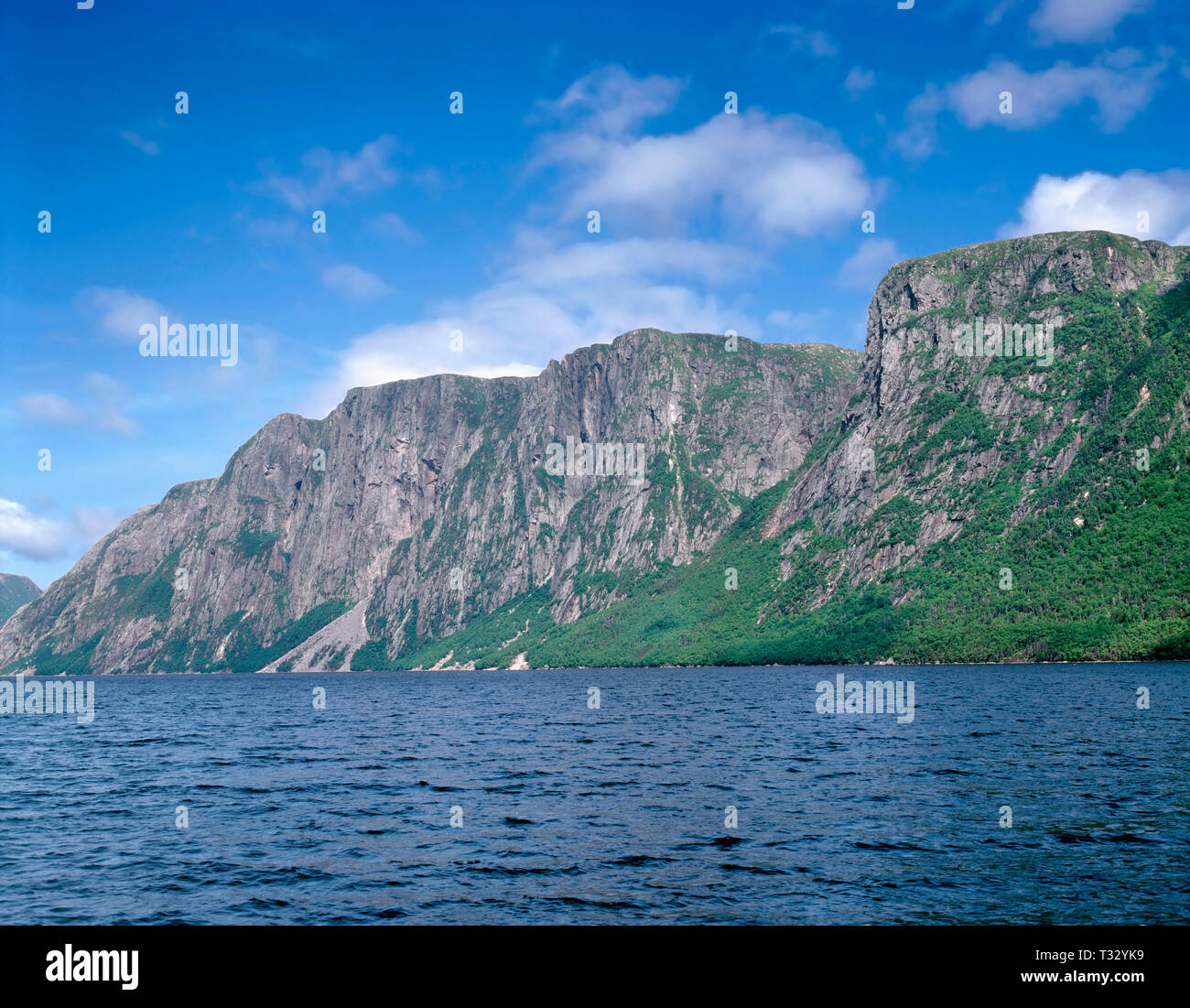 Canada, Newfoundland, Gros Morne National Park, Billion year-old rock ...