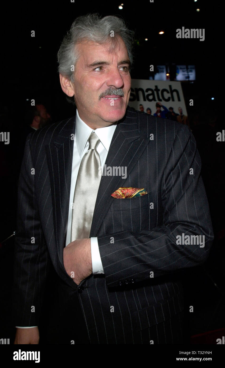 LOS ANGELES, CA. January 18, 2001: Actor DENNIS FARINA at the Los ...