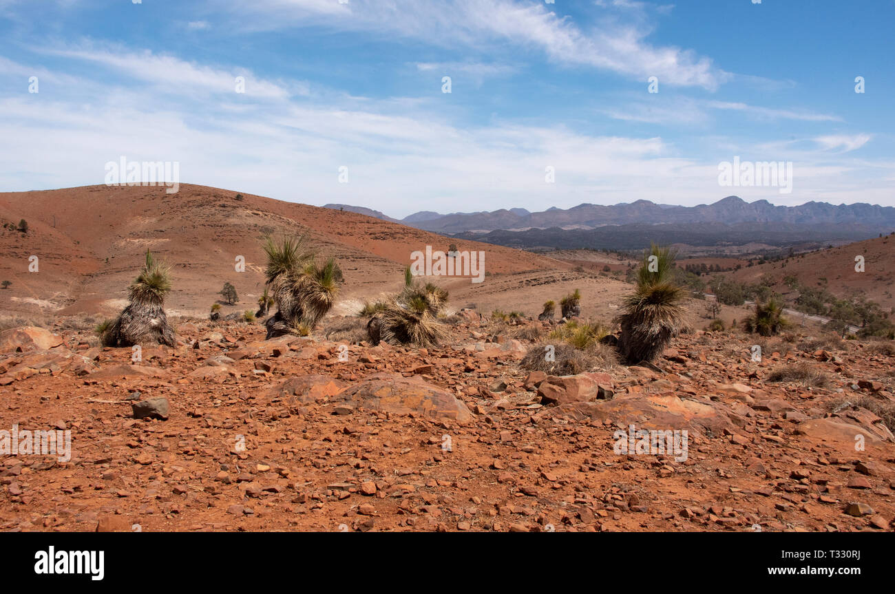 Gammon ranges hi-res stock photography and images - Alamy