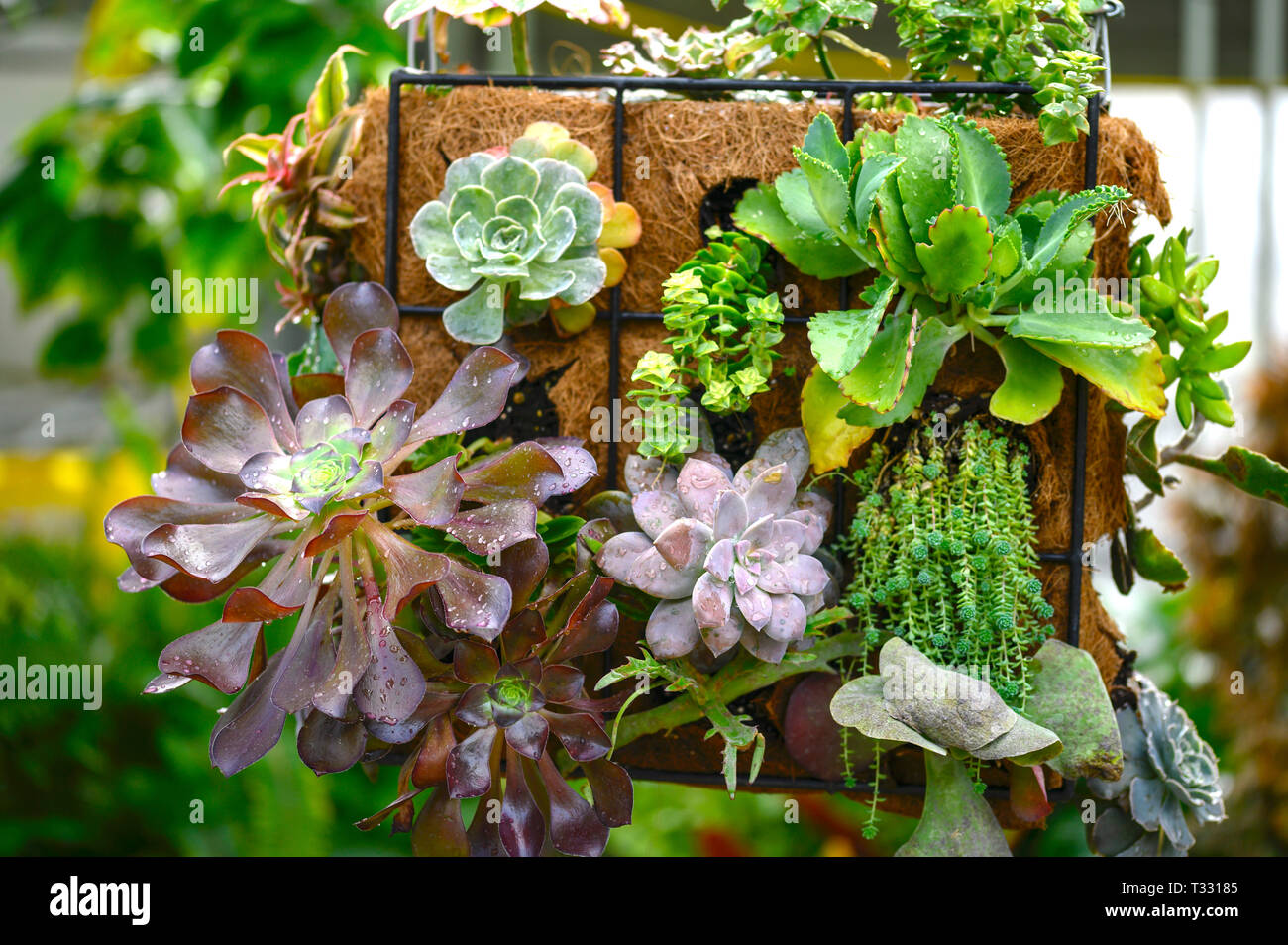 Springtime in the Midwest Stock Photo - Alamy