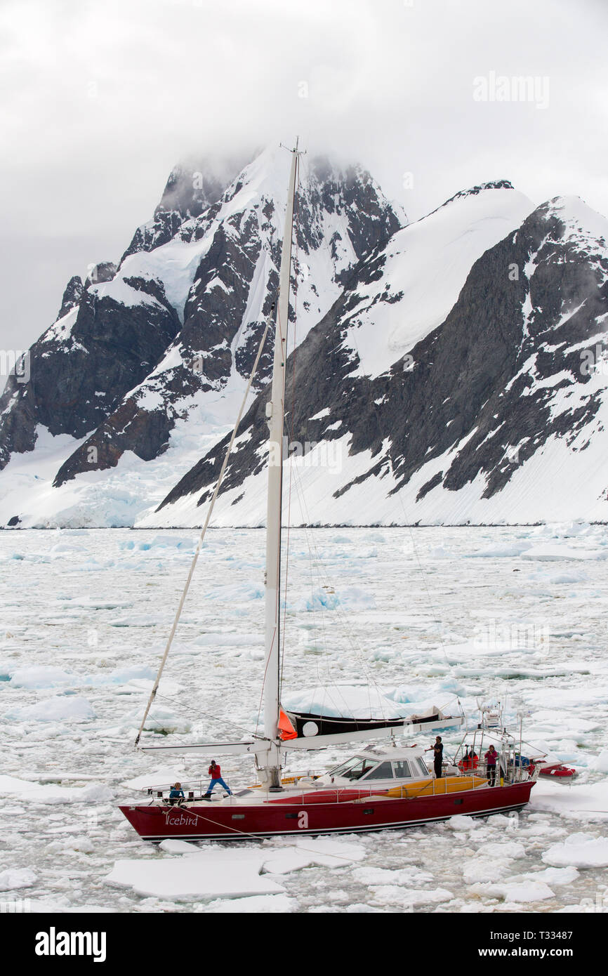 On the 20 Jan 2019 the ice strengthened sailing boat, Icebird became ...