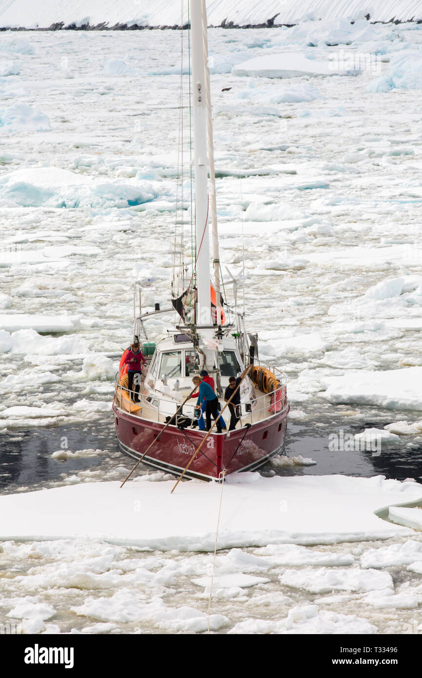 On the 20 Jan 2019 the ice strengthened sailing boat, Icebird became ...