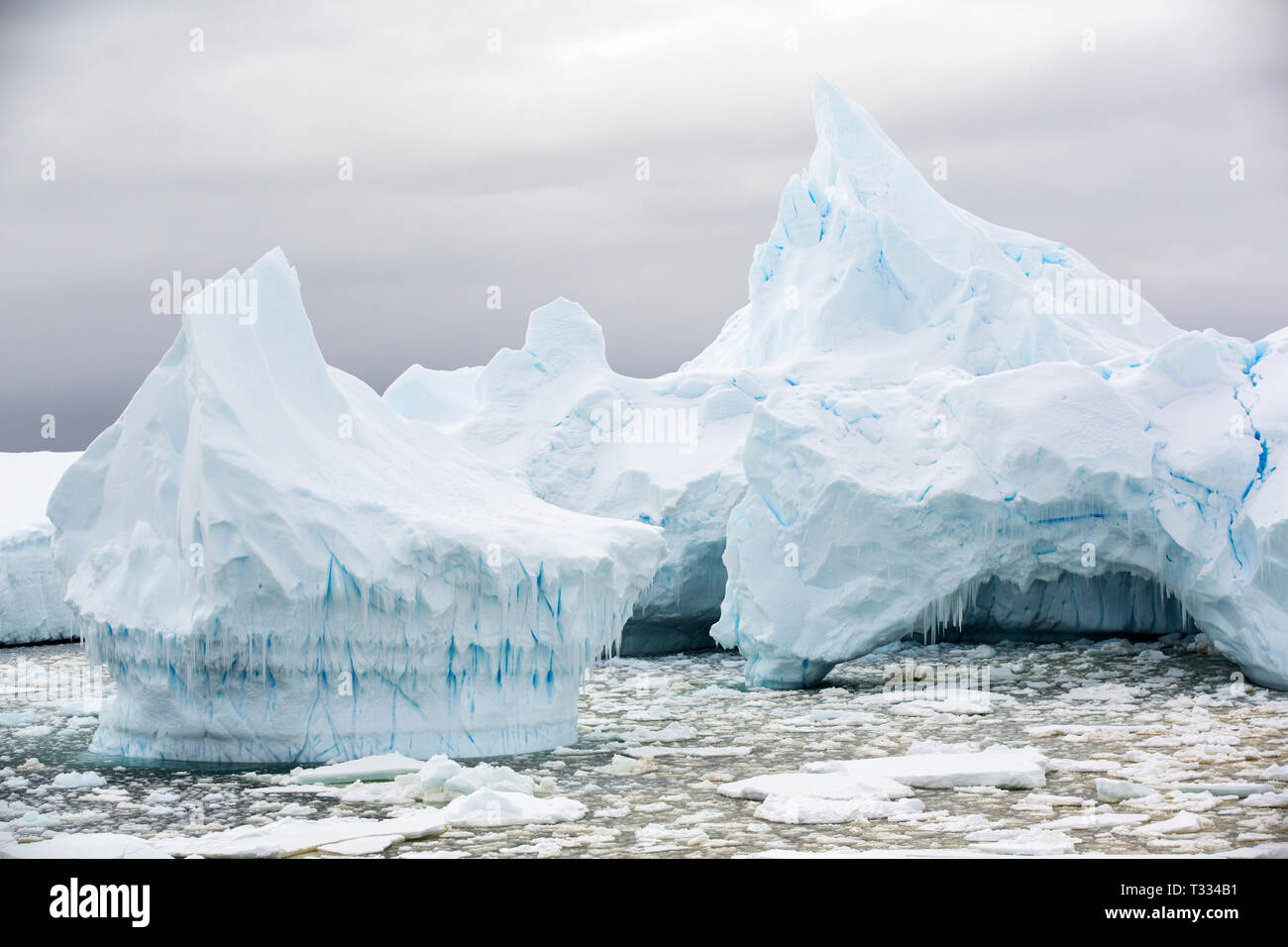 Melting sea ice and icebergs near Gerrard bay, Antarctic Peninsular ...