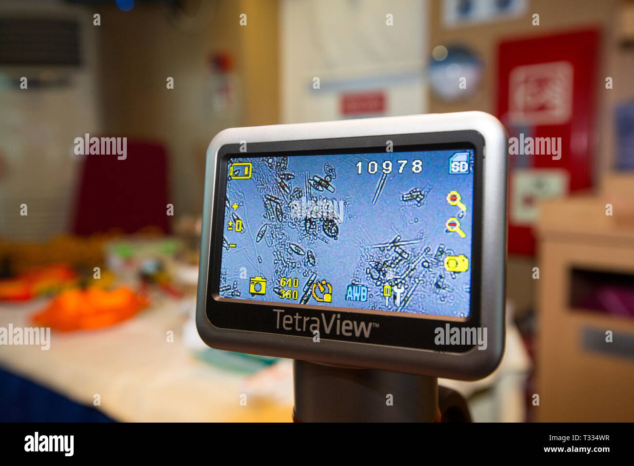 Plankton microscope hi-res stock photography and images - Alamy